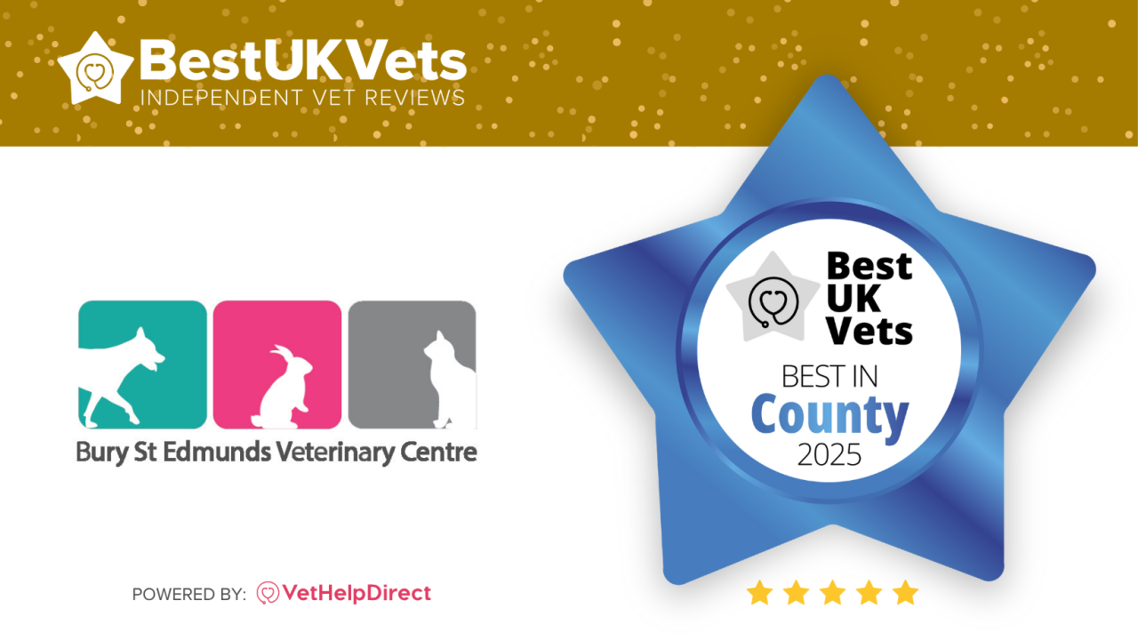 Welcome to BSEVC - Bury St Edmunds Veterinary Centre